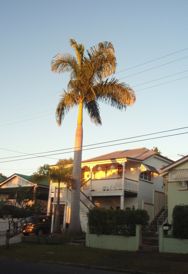 blog 41: In which I reveal TWELVE surprising FACTS about the suburb of ...