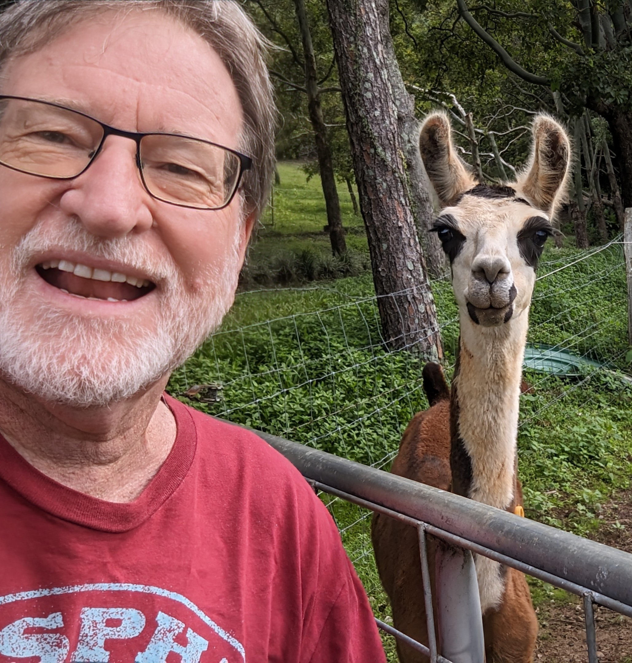 2024 Week 6: It’s not what you think. | Michael Gerard Bauer Author